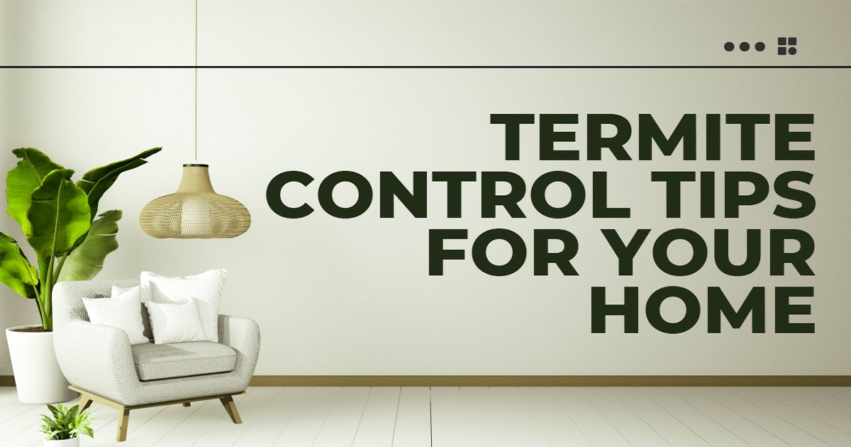 Termite Control 101: Make Sure Your Home is Termite Free With these Tips
