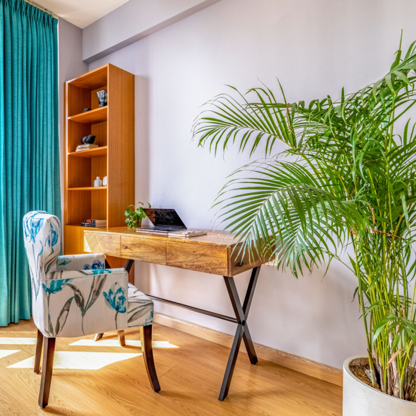 Grey Wall Paint Design For Modern Houses | Livspace