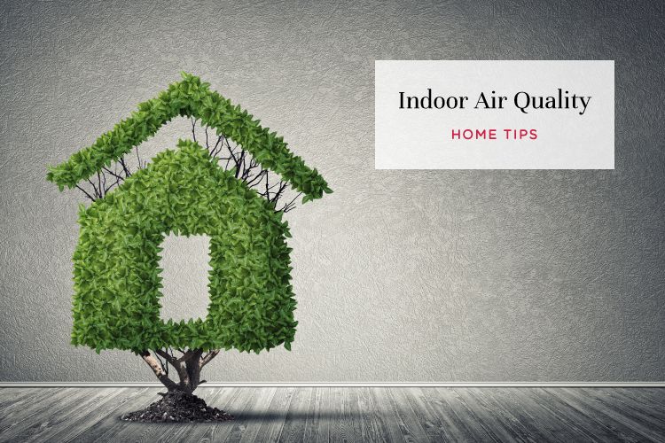 9 Easy Tips to Improve Indoor Air Quality at Home