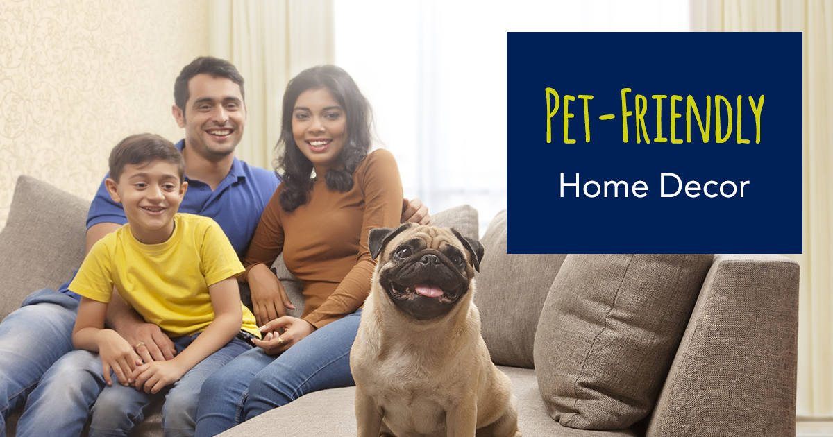 9 Ways To Pet Proof Your Home For Your Furry Buddies