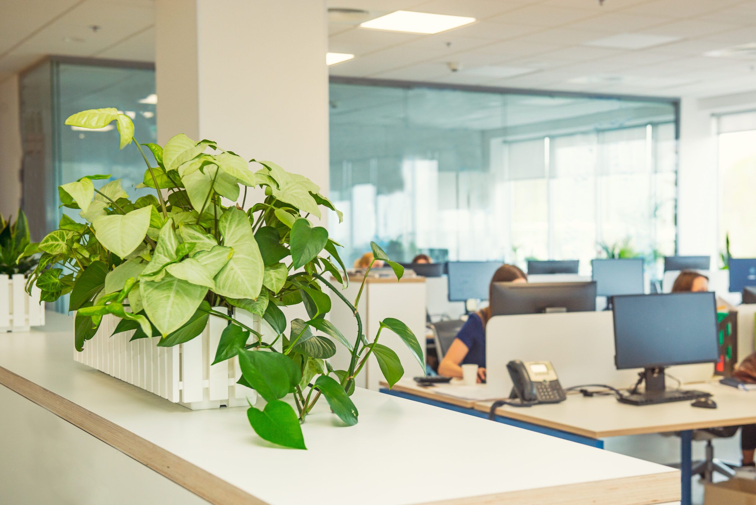 The Benefits of Biophilic Design in Offices | Livspace For Business