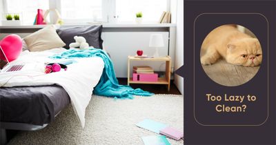 Cleaning Tips for Lazy People | 5 Easy and Efficient Hacks