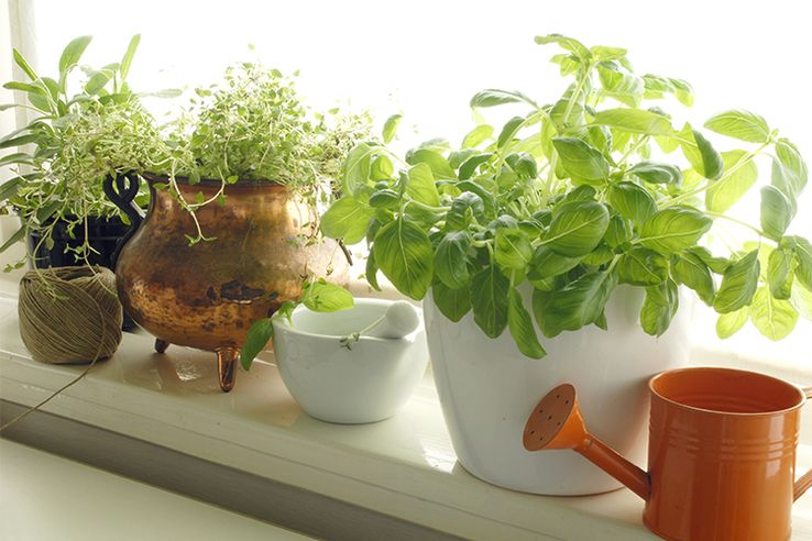 6 Simple Garden Cleaning Tips to Prep up your Garden