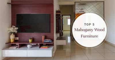 Mahogany: 5 Best Places to Use This Wood at Home