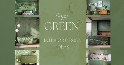 How To Introduce Sage Green Colour to Your Home Interiors?