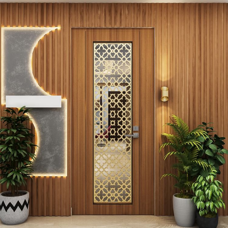 Single Swing Entrance Door Design with Matte Finish in Contemporary ...