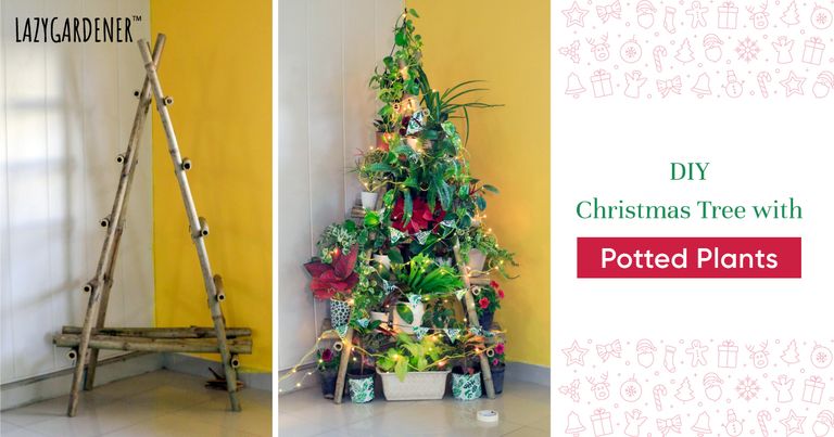Christmas Tree Making With Potted Plants | DIY Christmas Tree