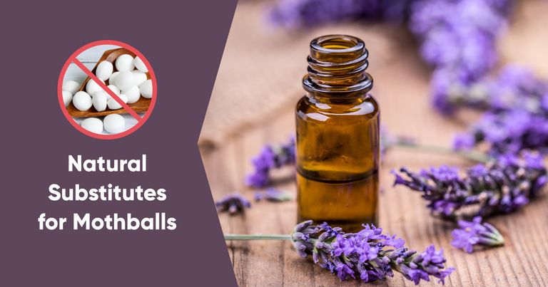 Alternative to Naphthalene Balls: Keep Your Clothes Protected & Fragrant