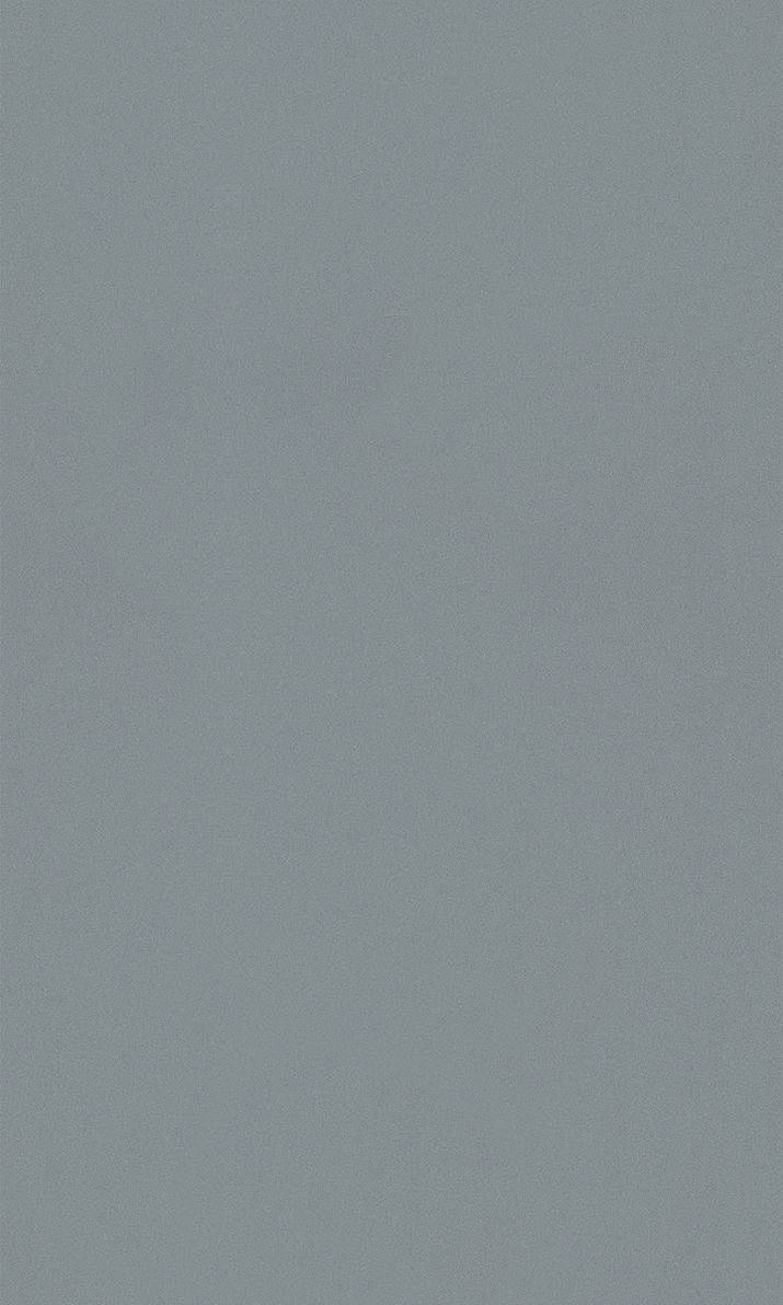 Chose the best laminate finish for you with Silver Frost